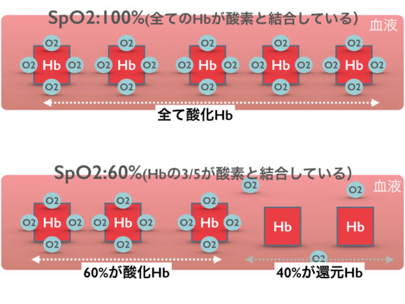 SpO2(経皮的動脈血酸素飽和度)の測定は何を調べているのか？ | 理学療法士によるリハビリ・ピラティス・予防